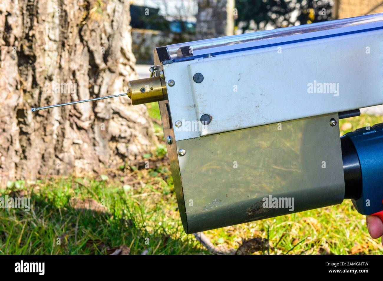 Technical equipment of treeworkers for testing inner life of a tree ...