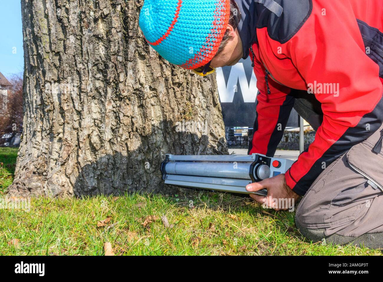 Treeworker testing a tree trunk with technical equipment Stock Photo ...