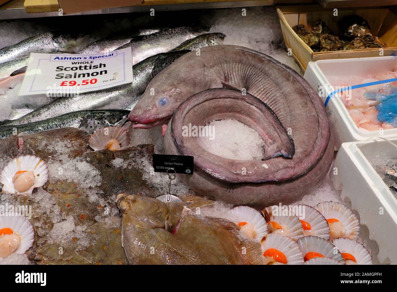 Fishmonger cardiff hi-res stock photography and images - Alamy