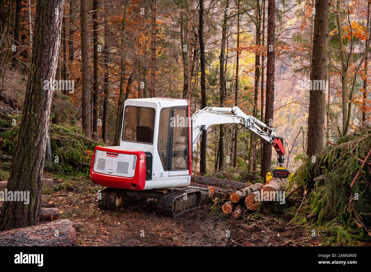 Timber harvester hi-res stock photography and images - Alamy