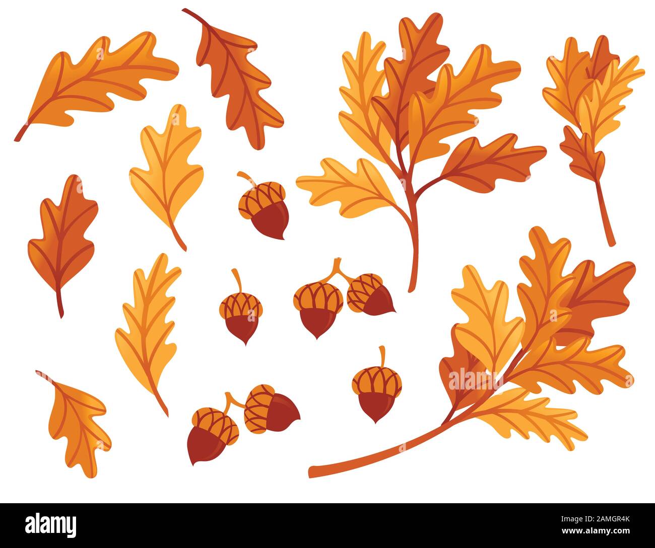 Various oak autumn leaves with acorn flat vector illustration isolated ...