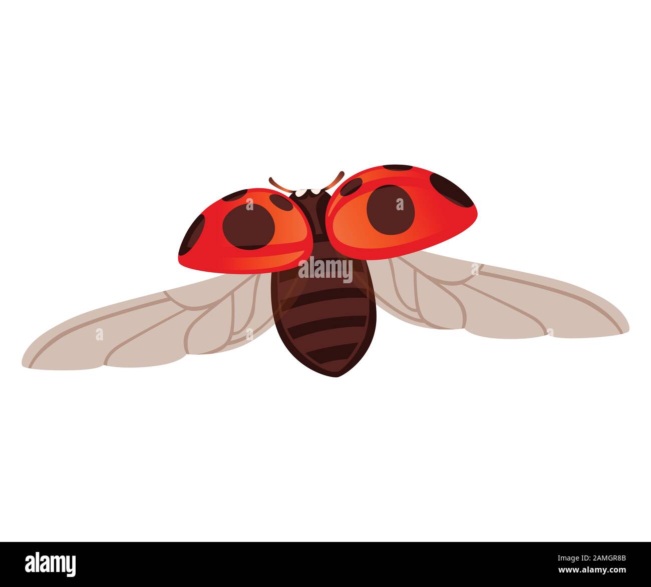 Ladybug with open shell and wings flying beetle cartoon bug design flat ...