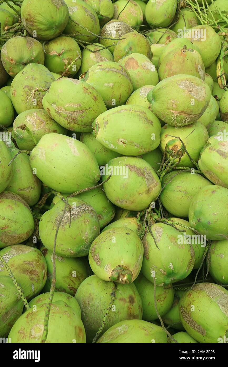 Thailand pile of ripe coconuts hi-res stock photography and images - Alamy