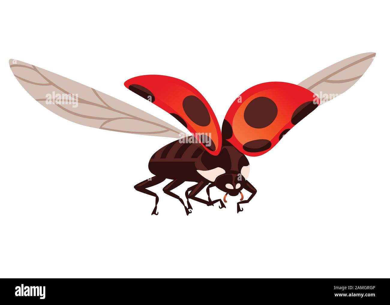 Ladybug with open shell and wings flying beetle cartoon bug design flat ...