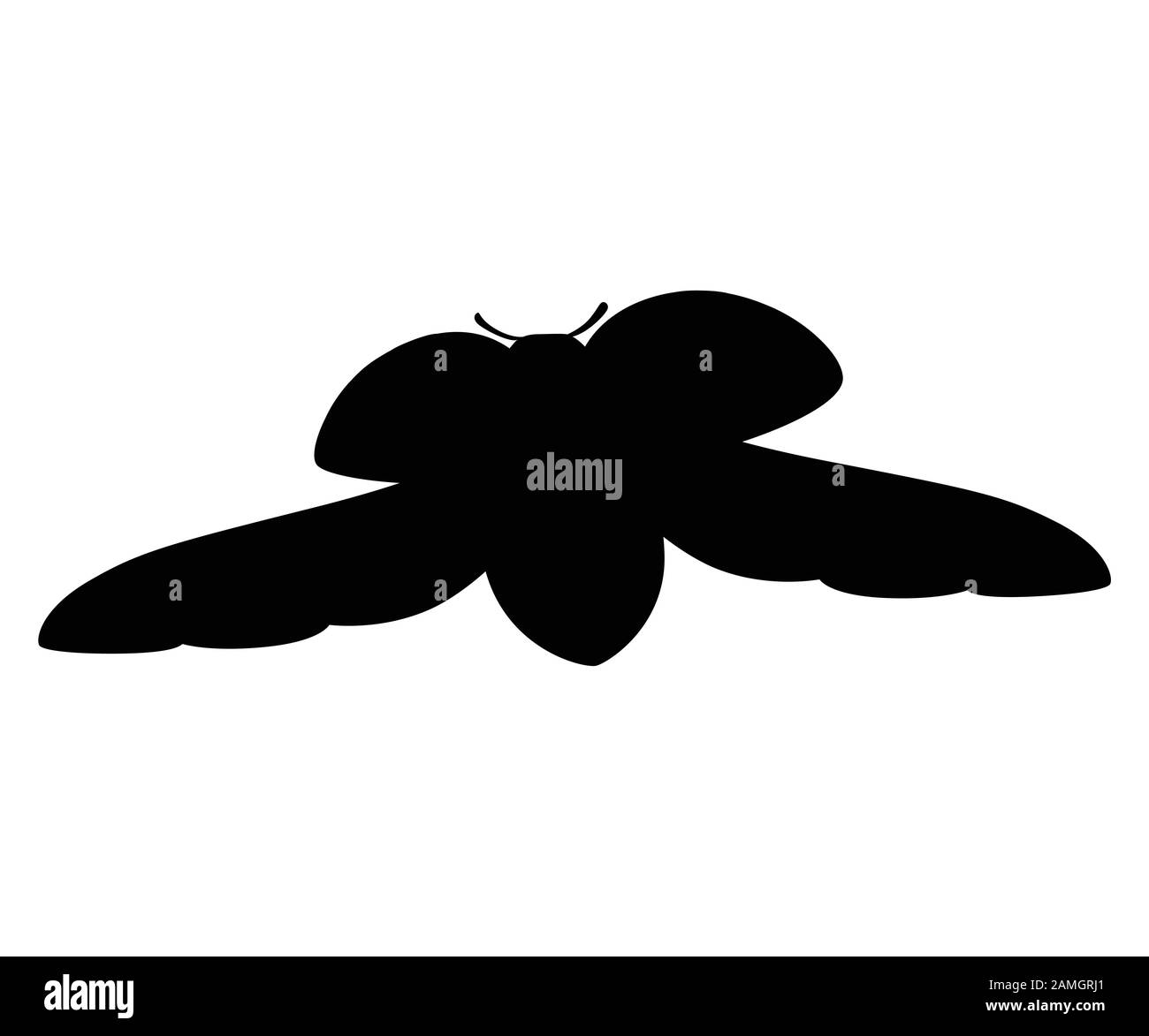 Black silhouette ladybug with open shell and wings flying beetle ...