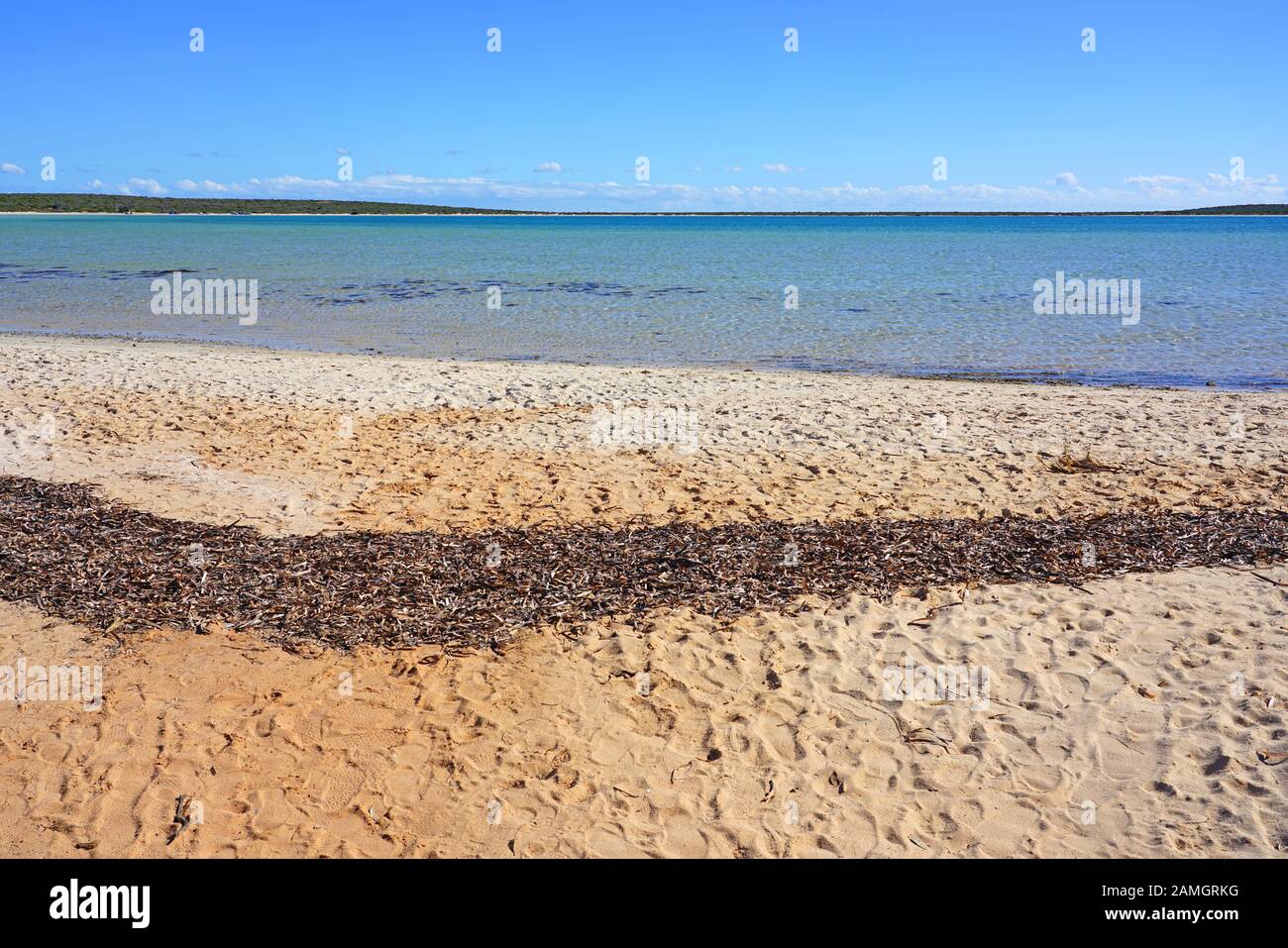View of the Little Lagoon in the Francois Peron National park within ...