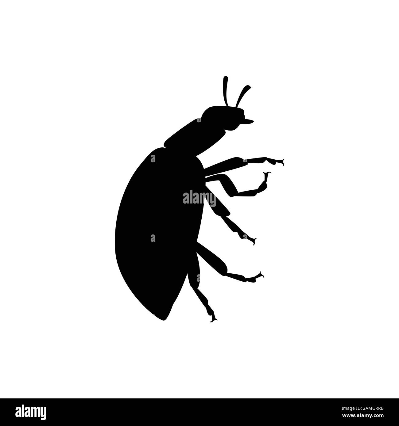 Black silhouette ladybug with closed shell beetle cartoon bug design ...