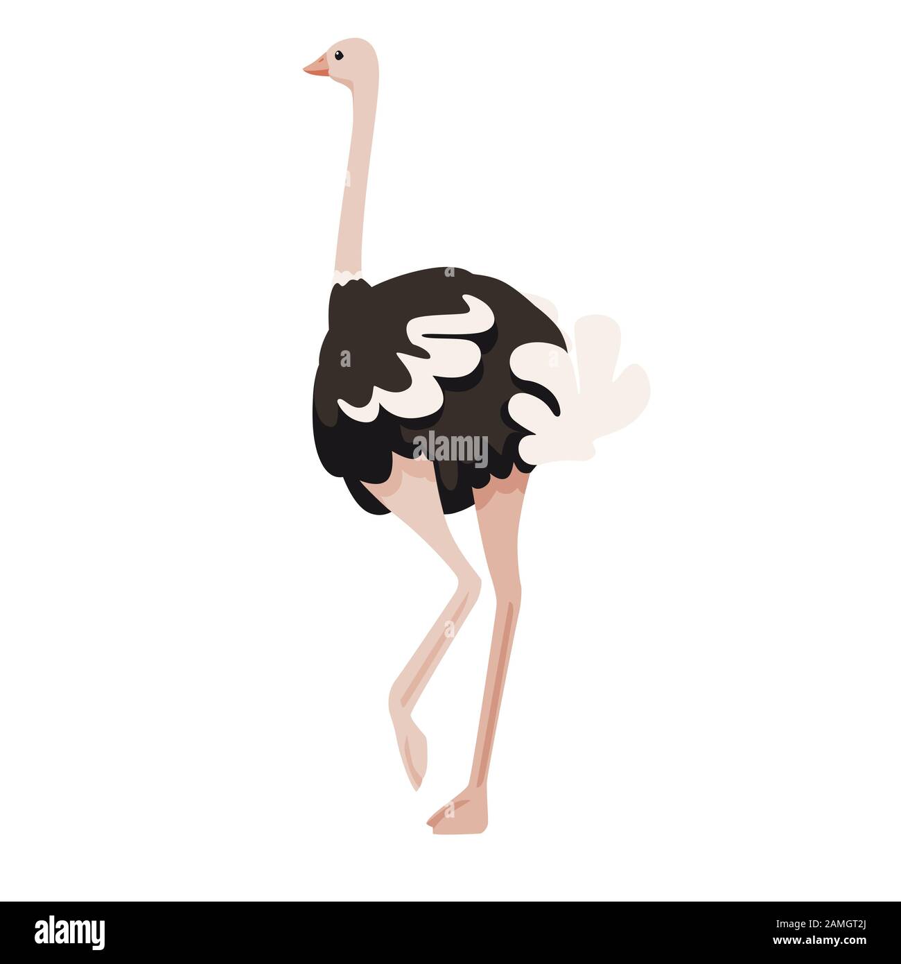 Cartoon One Legged Ostrich