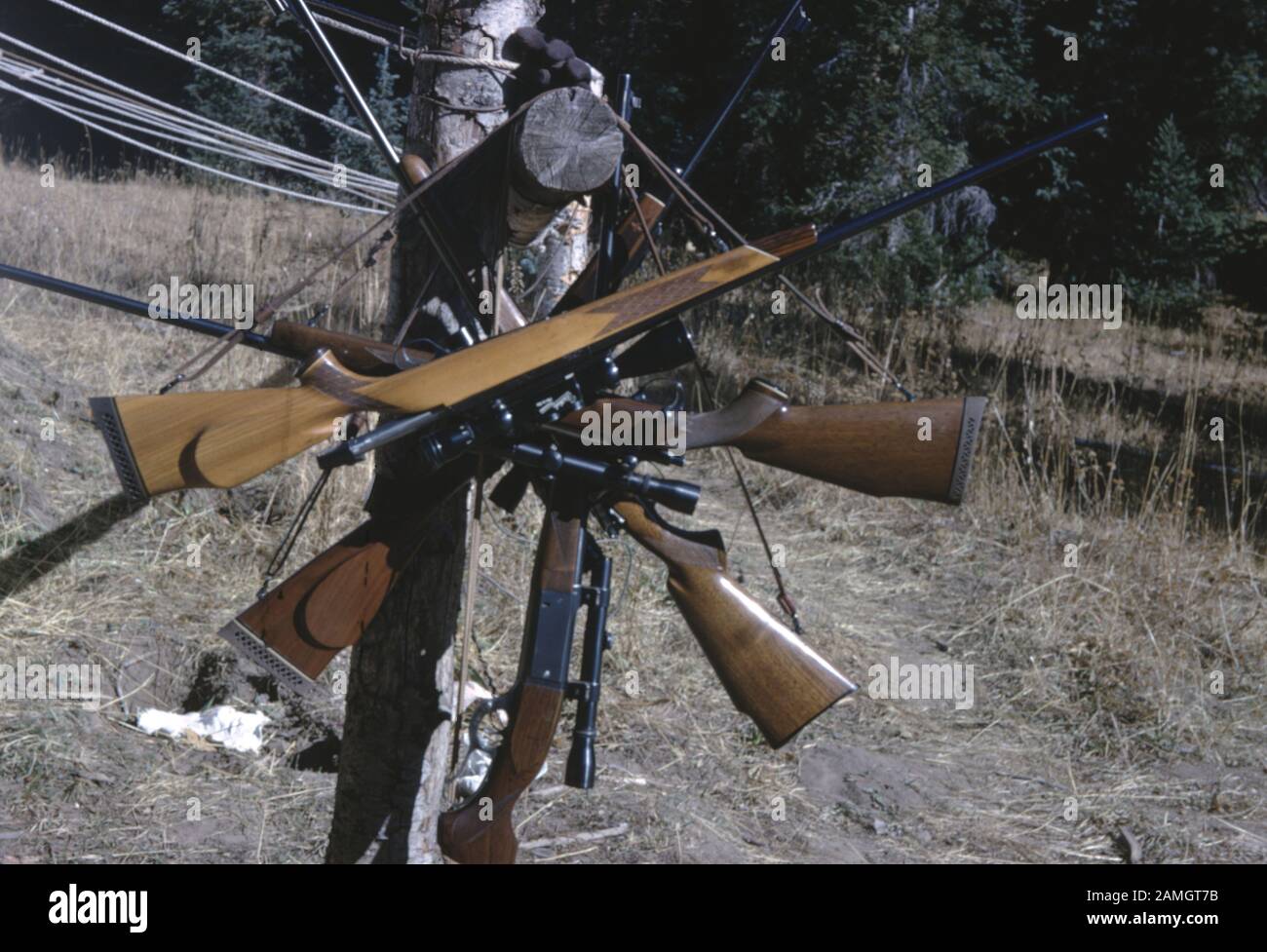 A variety of firearms are draped across a fence post during a hunting ...