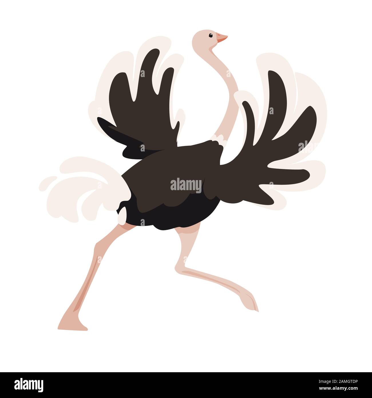 Cute ostrich running african flightless bird cartoon animal design flat ...