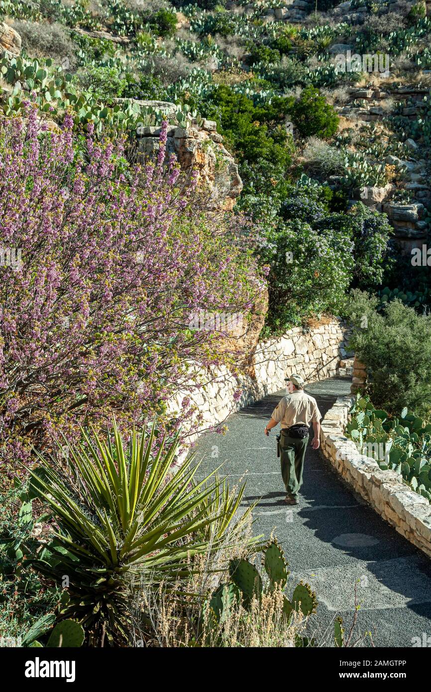 National parks ranger hi-res stock photography and images - Alamy