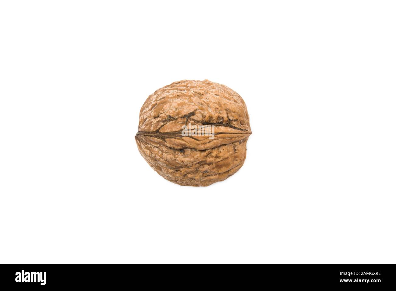 Single walnut isolated on the white background Stock Photo - Alamy