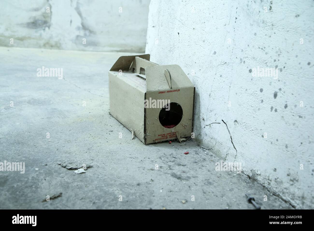 Rat trap rat poison hi-res stock photography and images - Alamy
