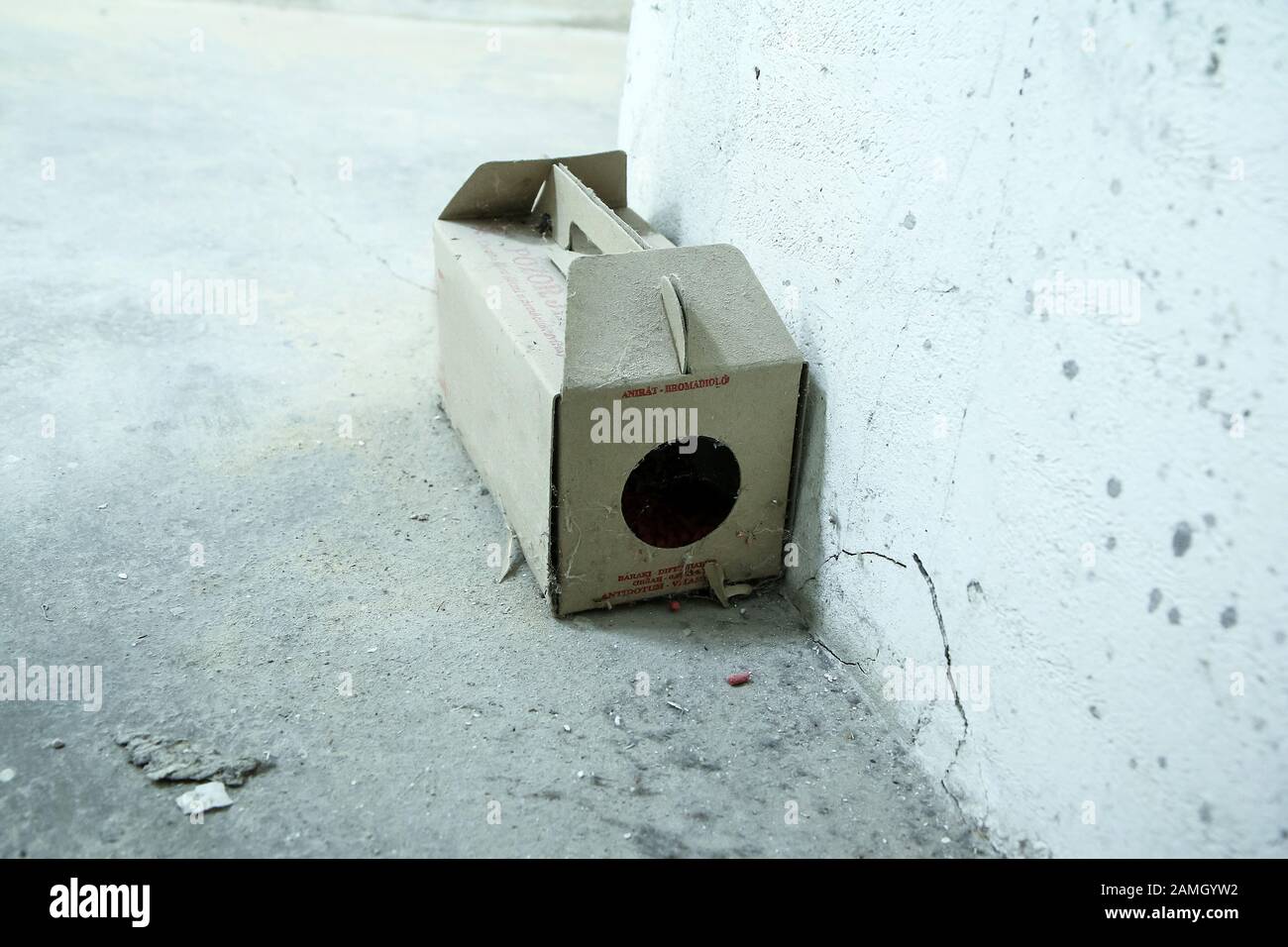 A picture of a paper rat trap with some pellets with poison outside of ...