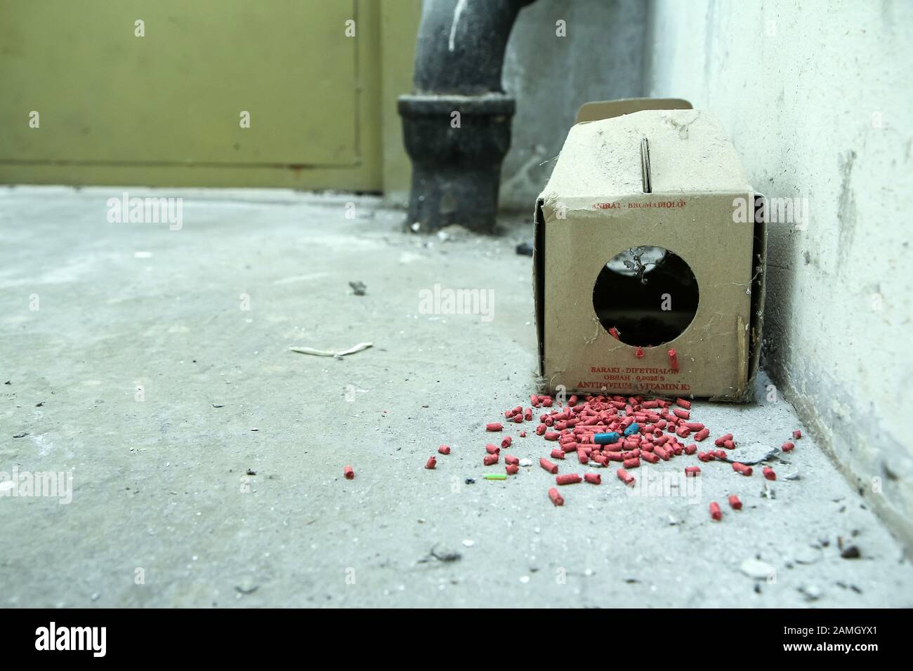 A picture of a paper rat trap with some pellets with poison outside of ...