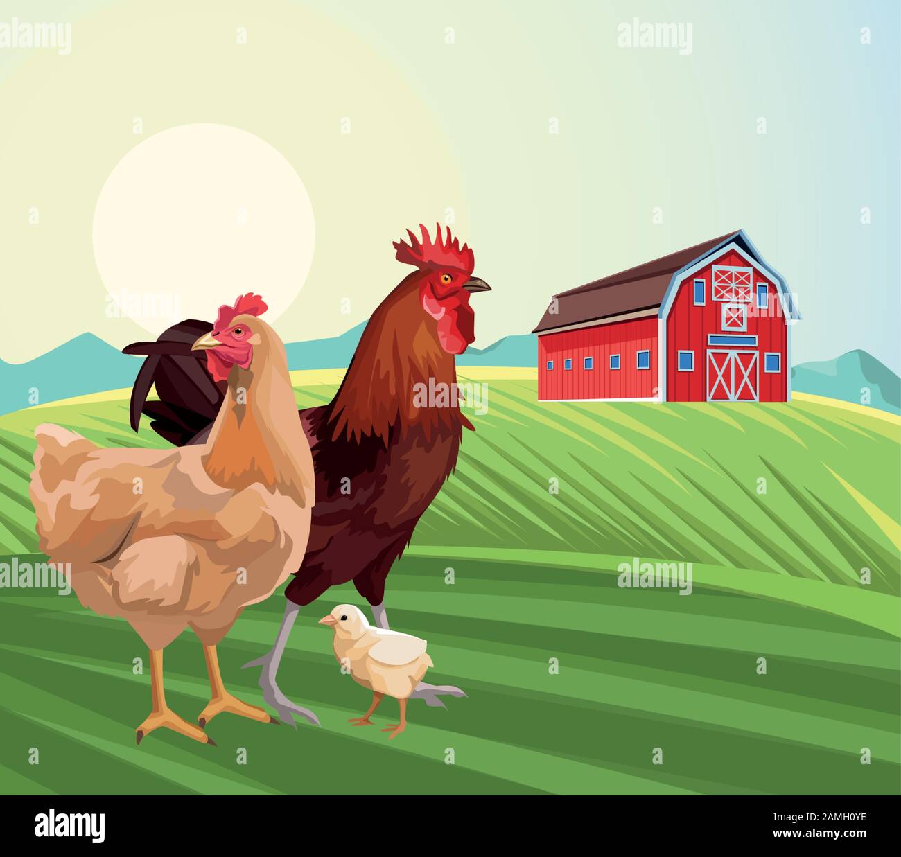 Hen field bird Stock Vector Images - Alamy