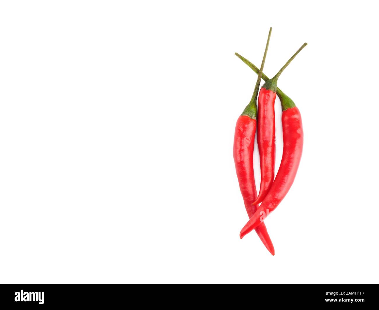 Three red chili pepper pods on white isolated background with copy ...