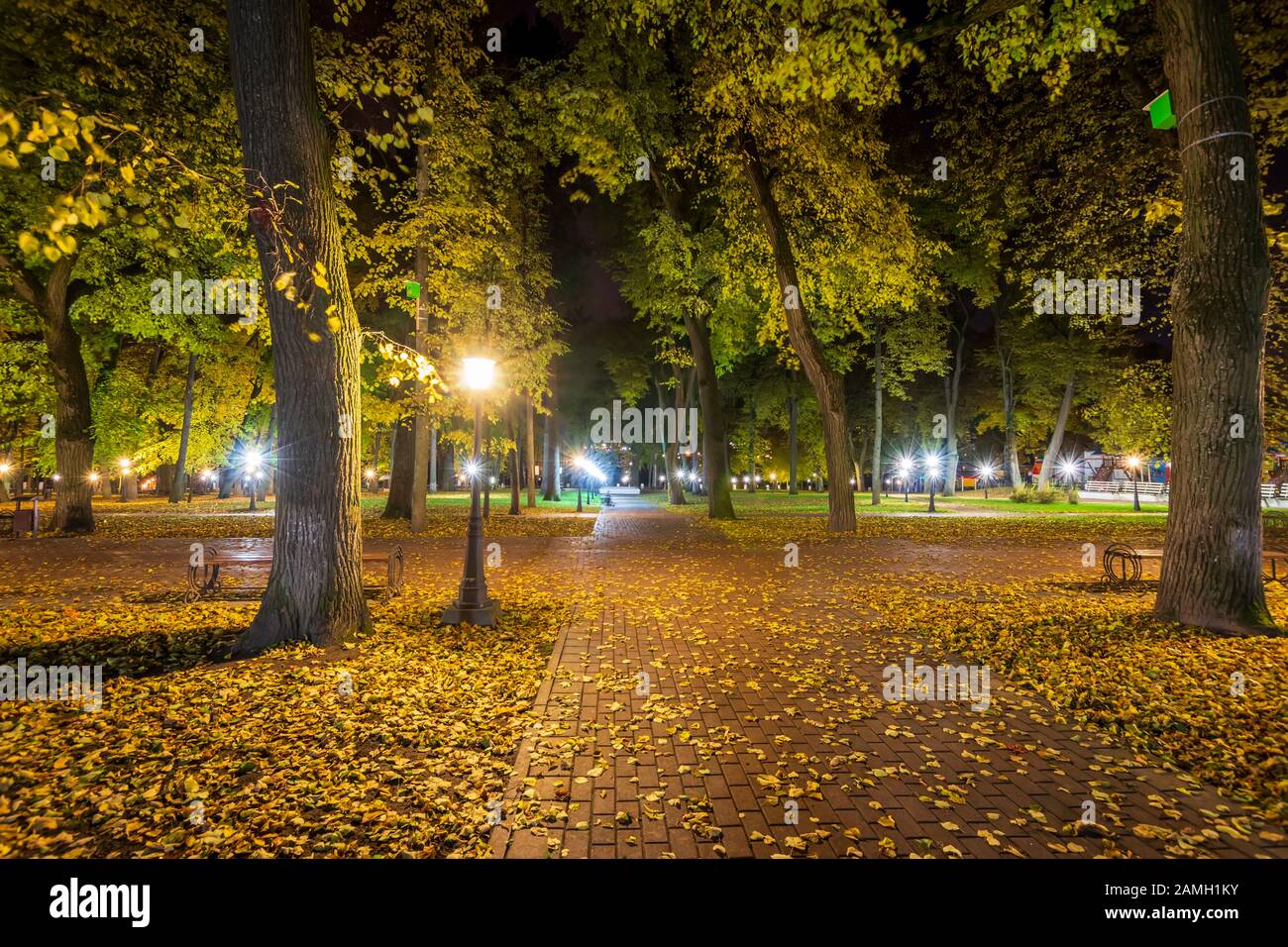 City night park in autumn with paths strewn with fallen yellow leaves ...