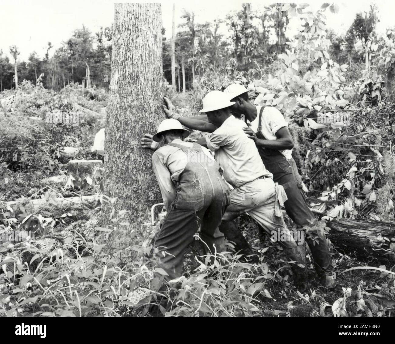 Nasa work crew hi-res stock photography and images - Alamy