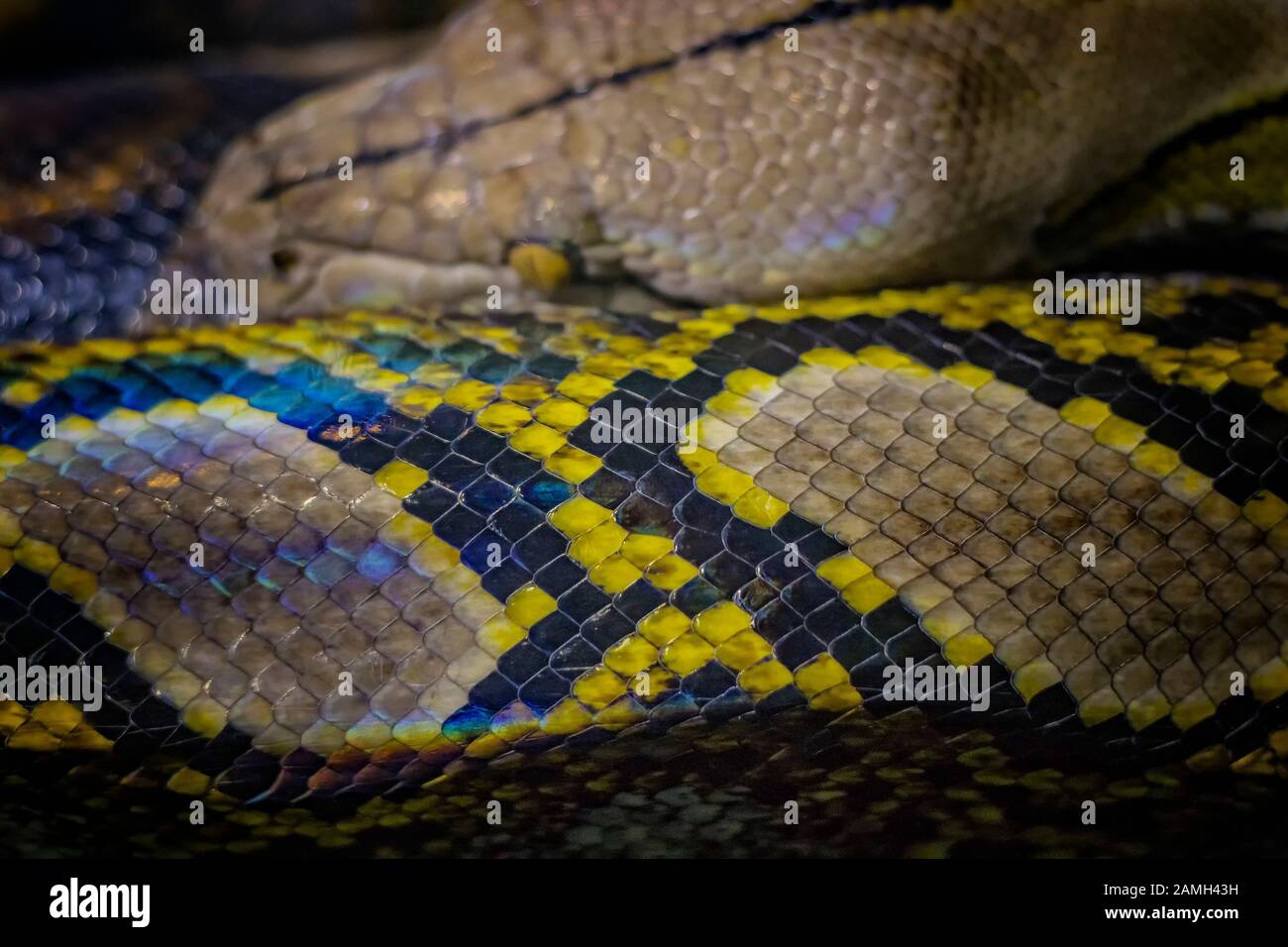 Terrarium Art High Resolution Stock Photography and Images - Alamy