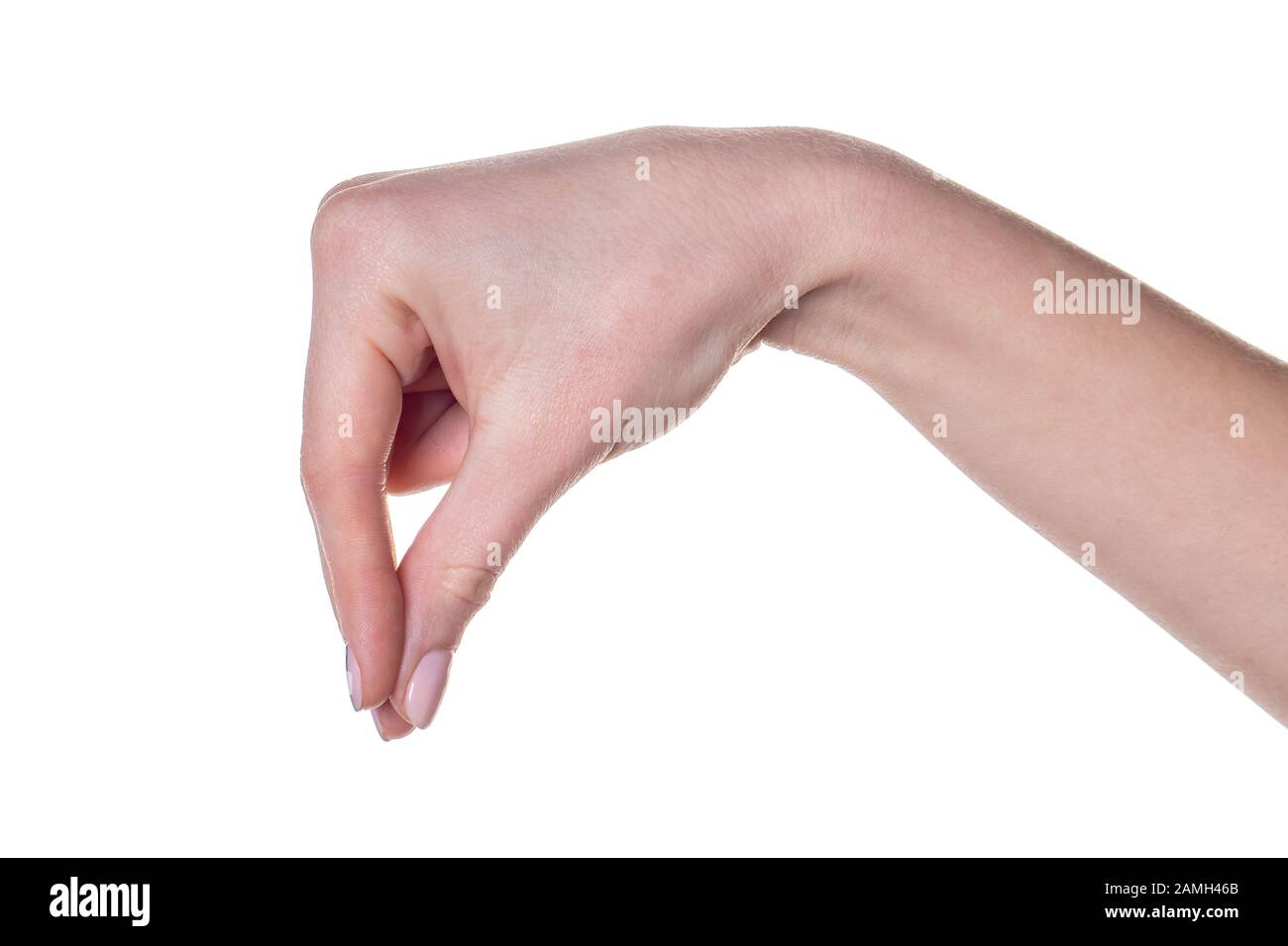 Woman hand holding something isolated on a white background Stock Photo ...