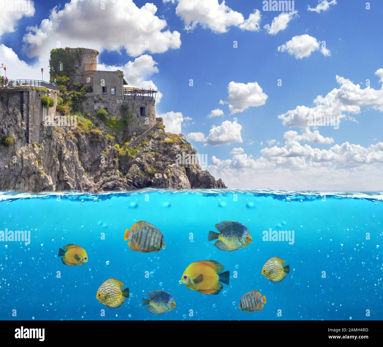 Half underwater photo of tropical paradise with group of colorful ...