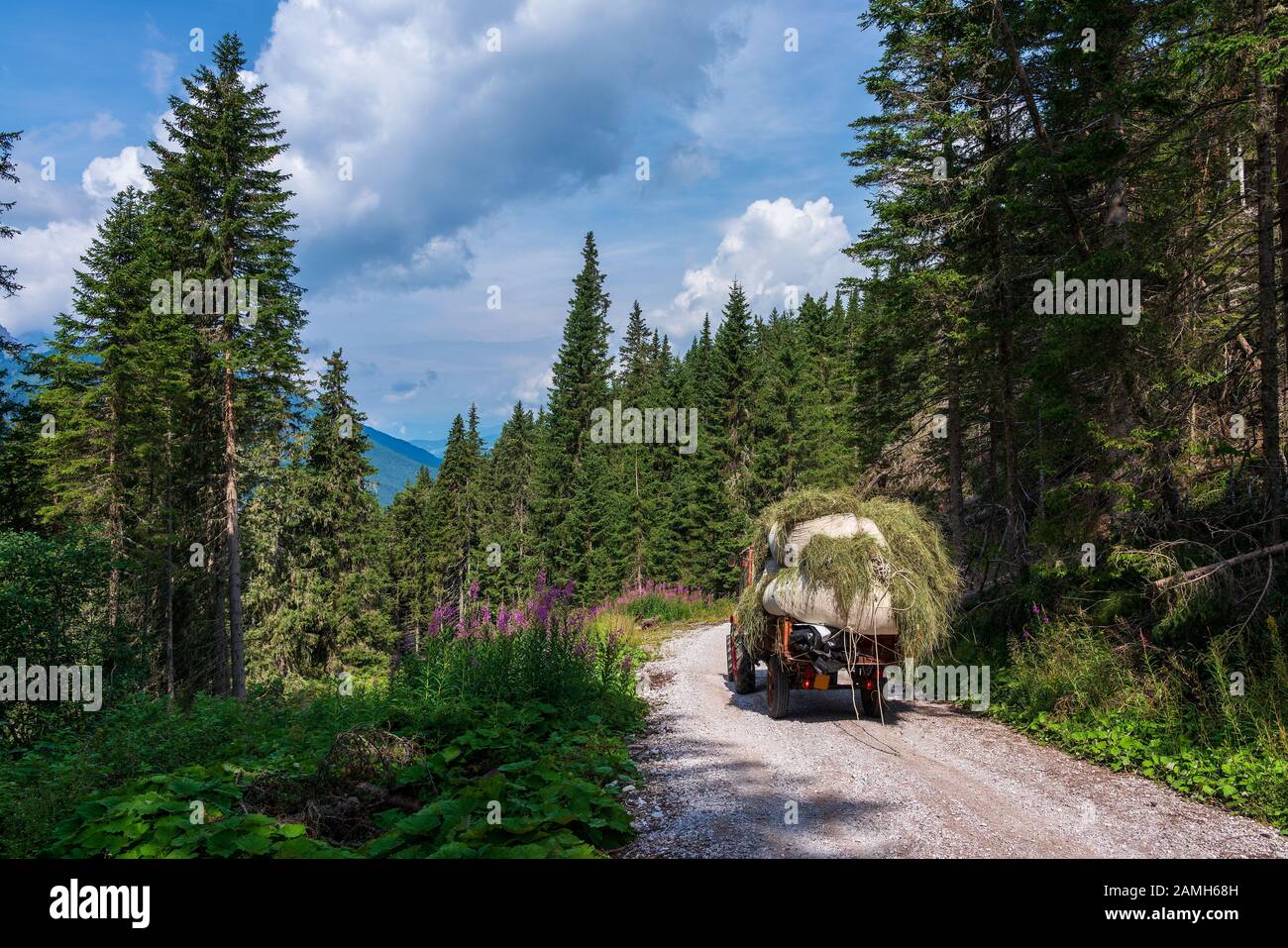Hay harvesting mountains hi-res stock photography and images - Alamy