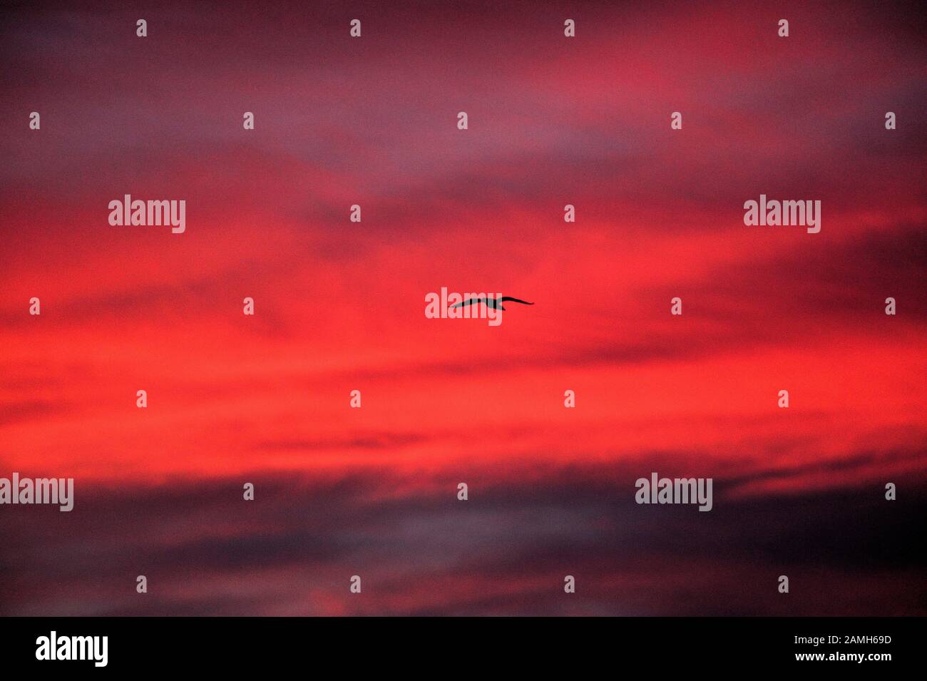 air, sky, west, east, sun, atmosphere, beauty, nature, light, effects ...