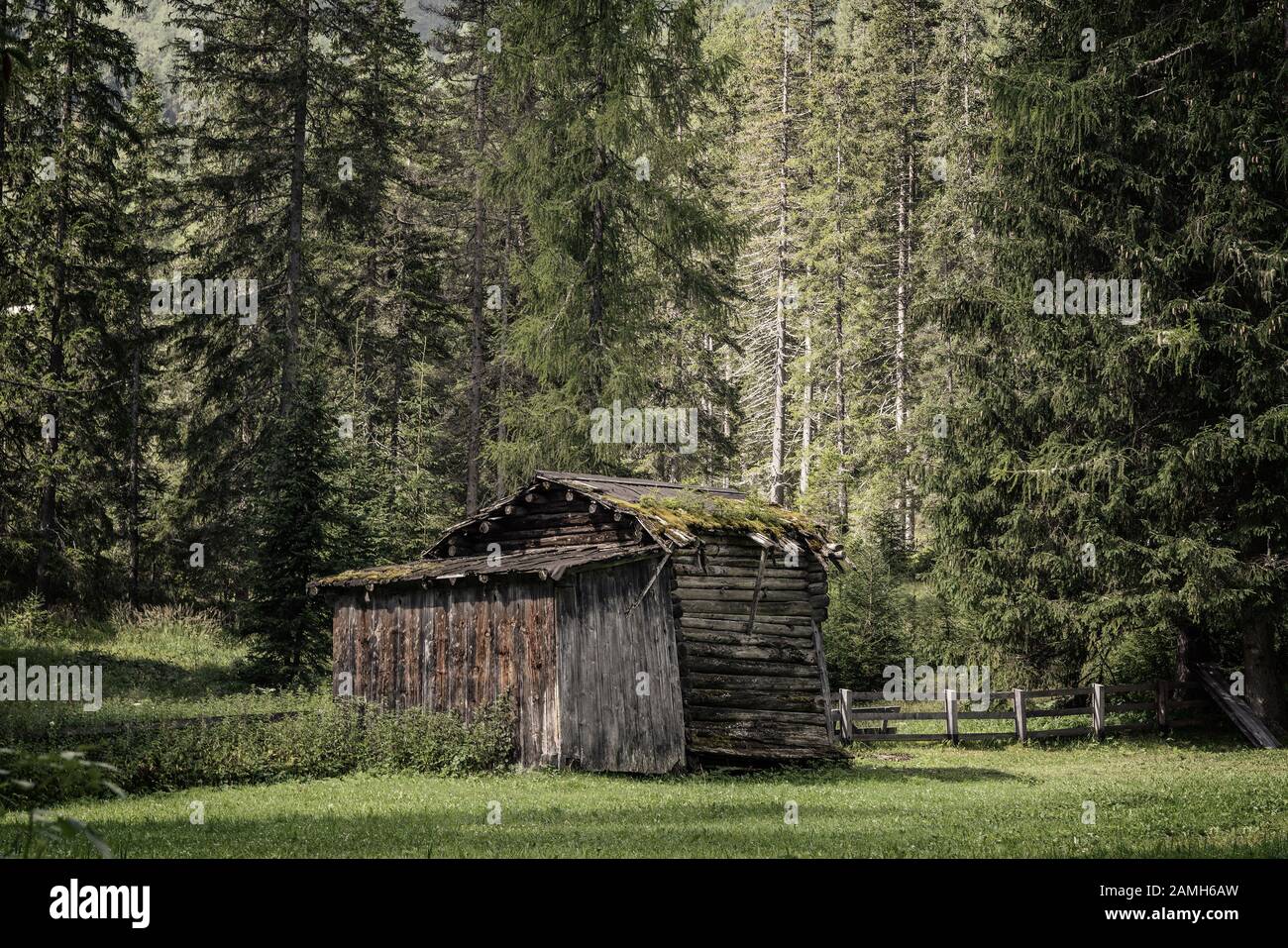 old hut in the forest, Italy Stock Photo - Alamy
