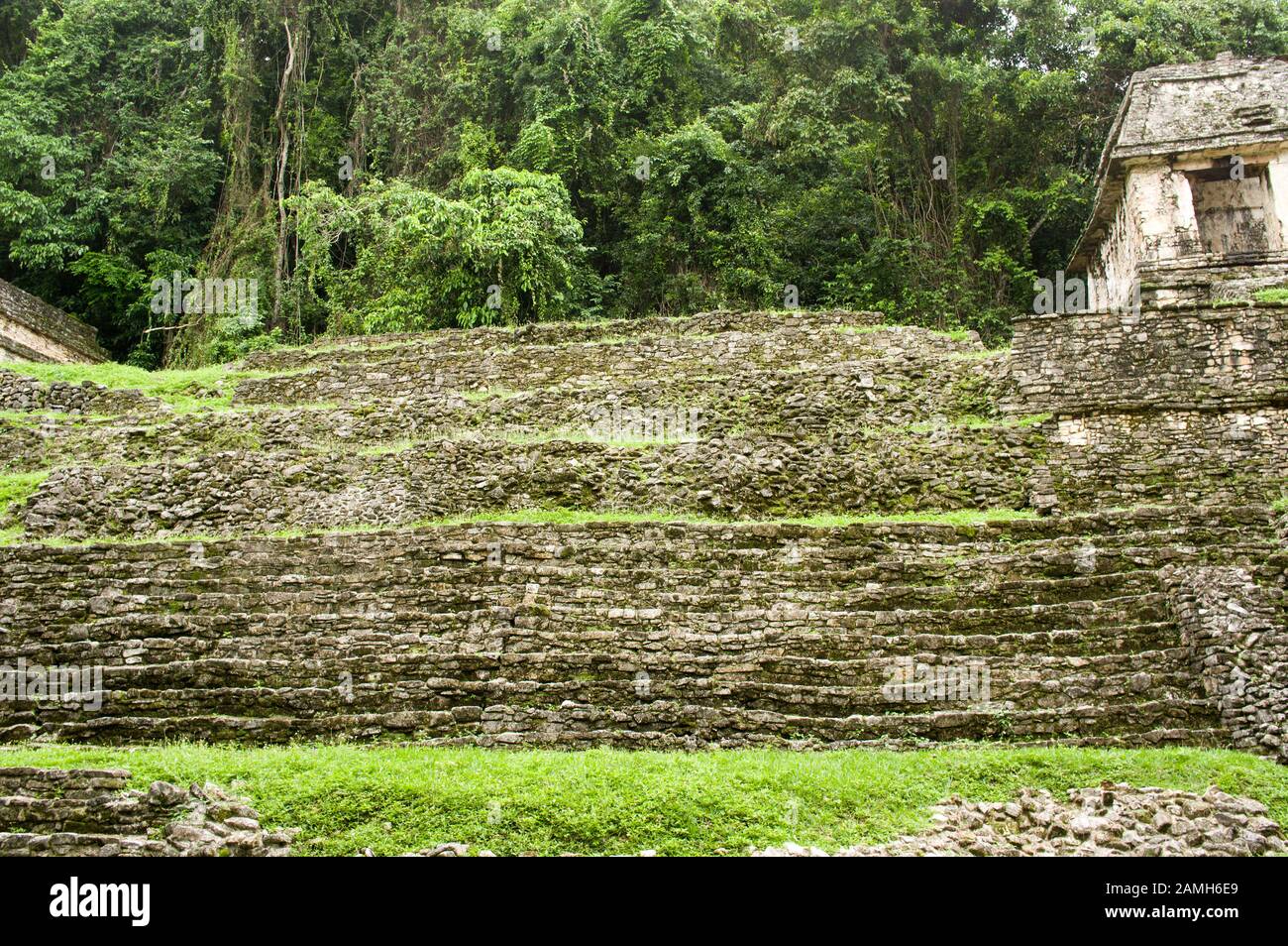 Ruins in the jungle of Palenque, an ancient maya city in Mexico Stock ...