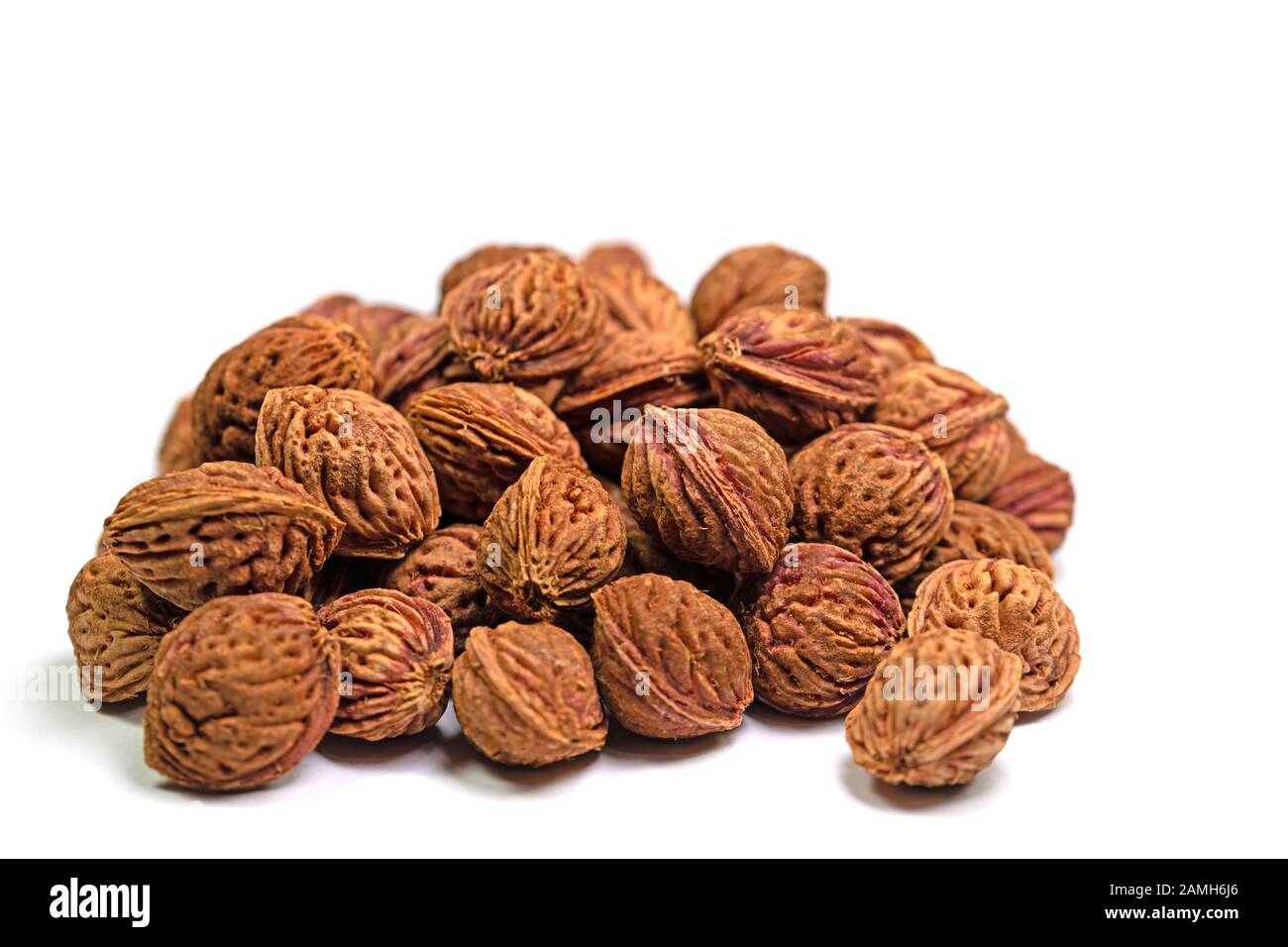 Peach kernels isolated against a white background Stock Photo - Alamy