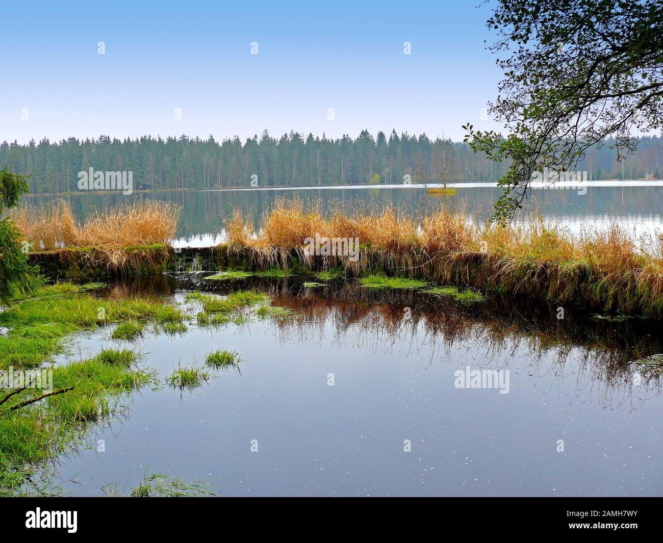 Kaiserwald hi-res stock photography and images - Alamy