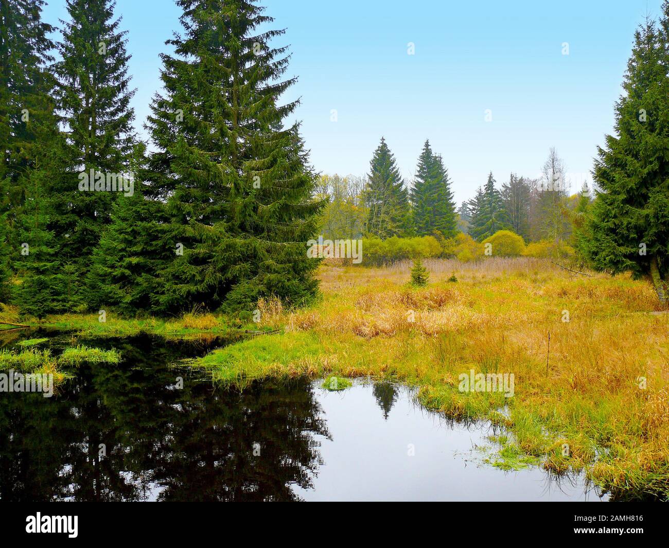 Slavkov forest hi-res stock photography and images - Alamy
