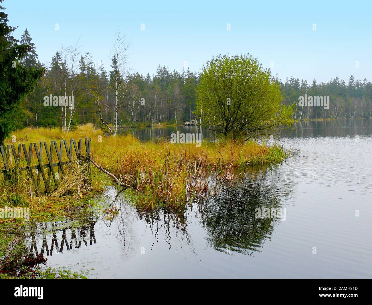 Slavkov forest hi-res stock photography and images - Alamy