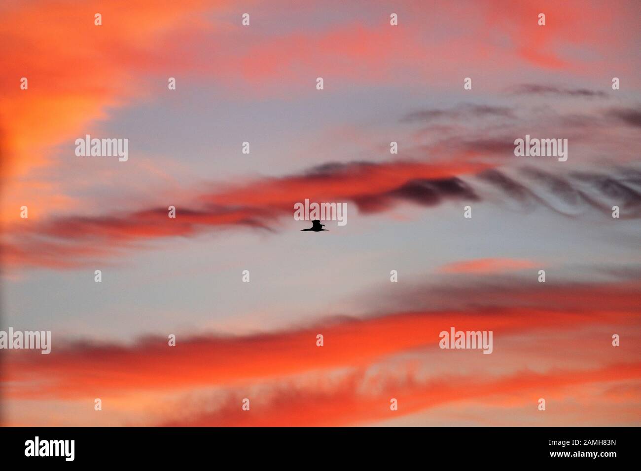 air, sky, west, east, sun, atmosphere, beauty, nature, light, effects ...