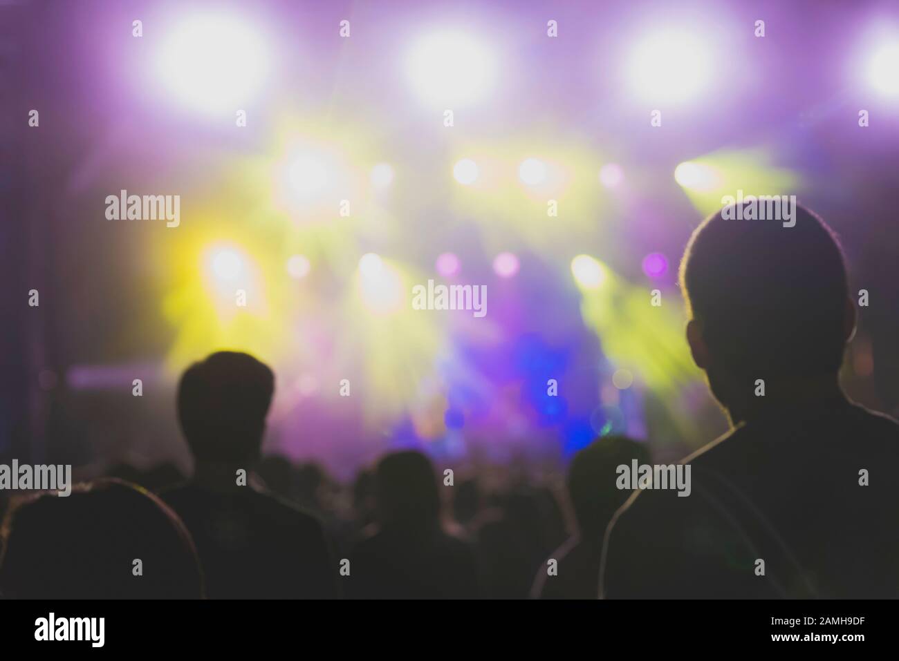 Back view of spectators attending a concert Stock Photo - Alamy