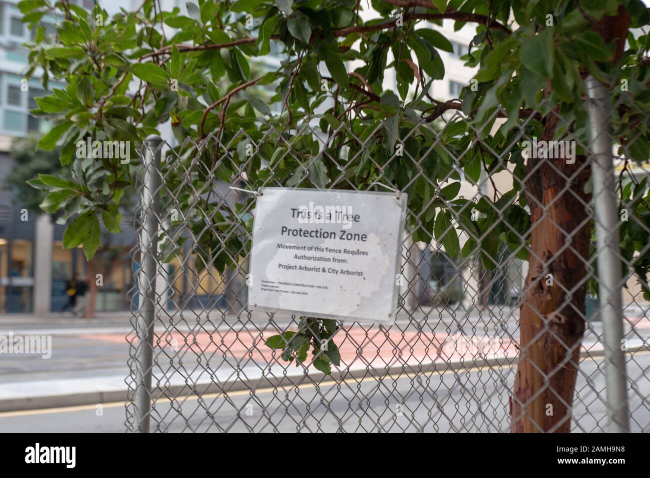 Tree protection zone with warning sign around existing tree at a ...