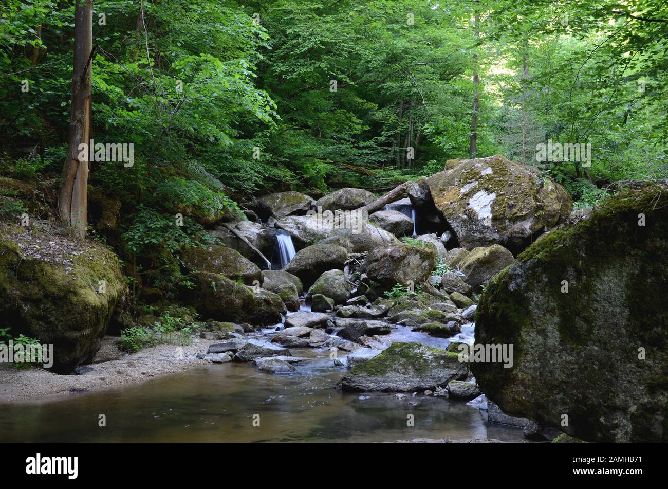 The Pesenbach is a small river in the region Mühlviertel in Upper ...