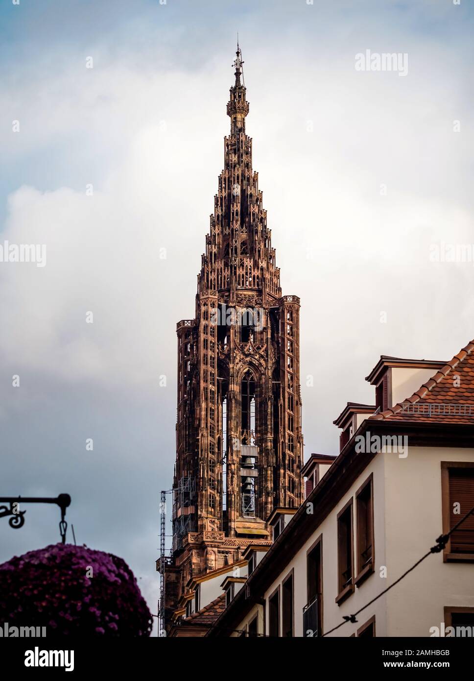 Details of the Strasbourg Cathedral. Architectural and sculptural ...