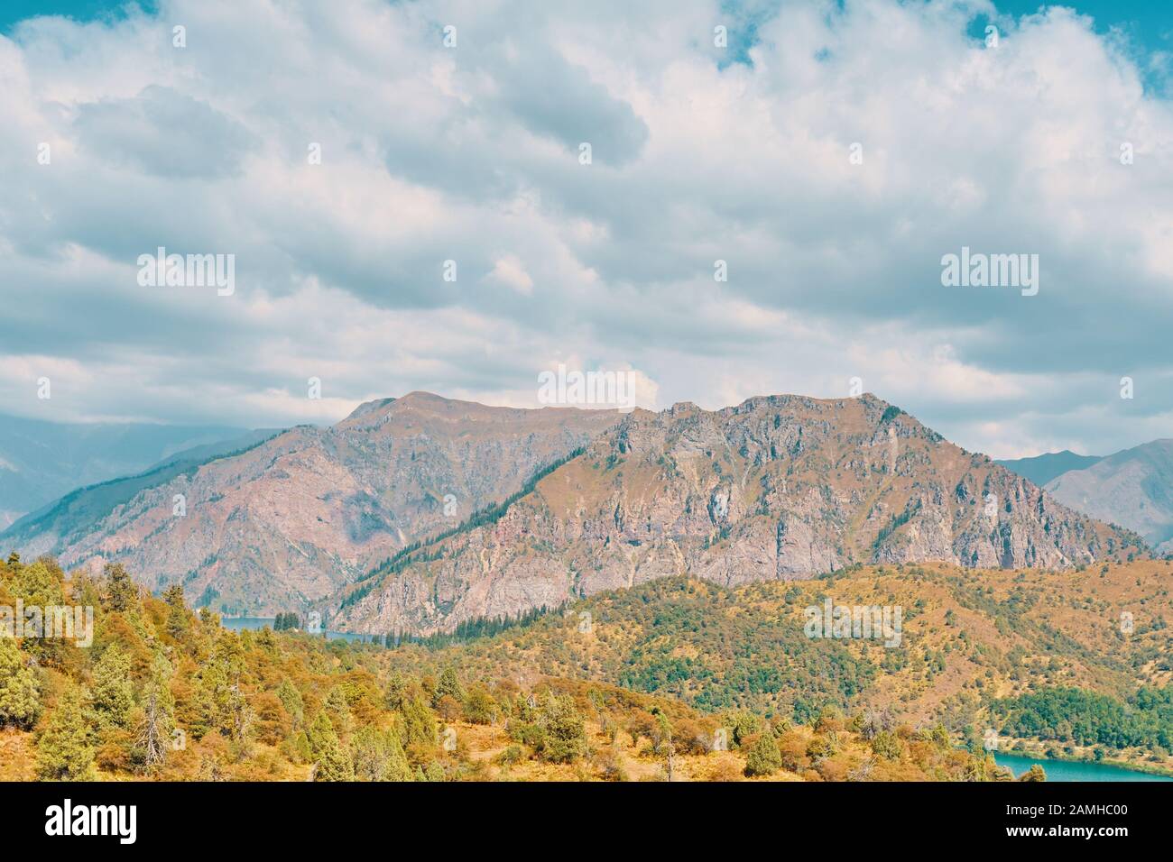 Mountains. Dense forests among hills and highland. Happy international ...