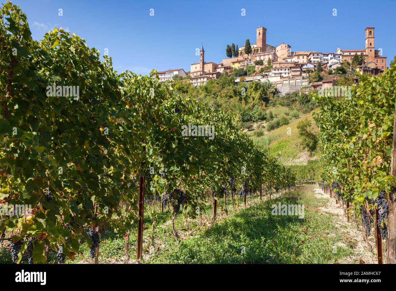 Asti wine hi-res stock photography and images - Alamy