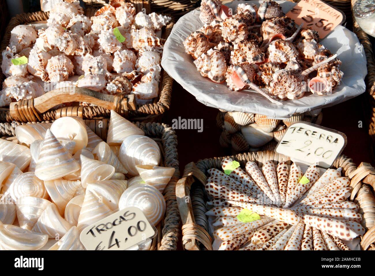 Seashells for sale on the island of Punto Sabbioni near Venice, Italy ...