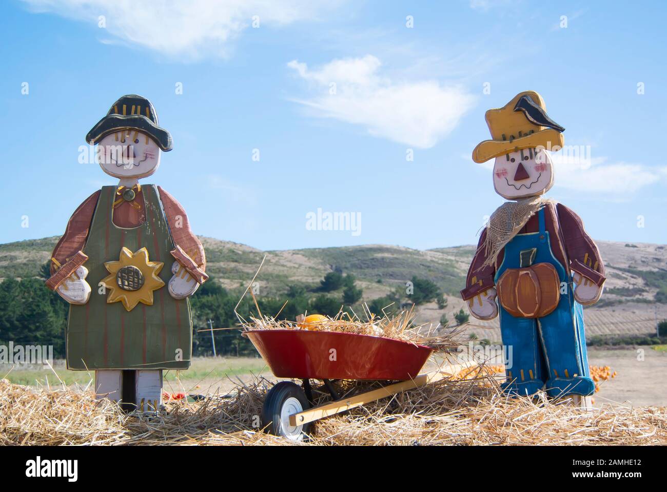 Pumpkin Patch Display Table Stock Photo - Alamy