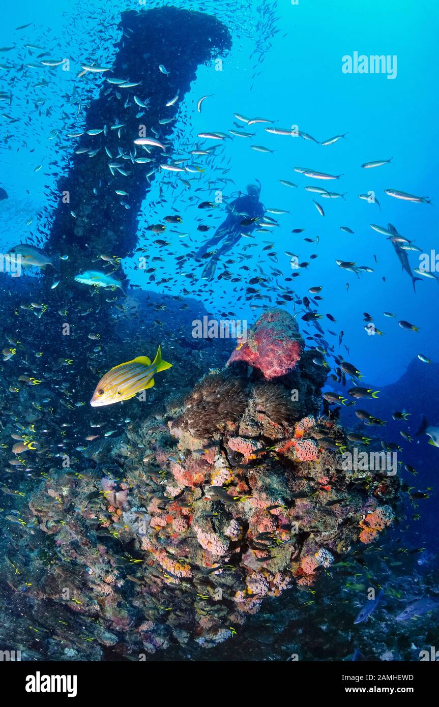 Ss yongala wreck hi-res stock photography and images - Alamy
