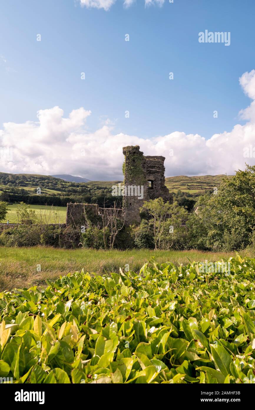 Ruins of an old Irish castle located on the field.County Cork, Ireland ...