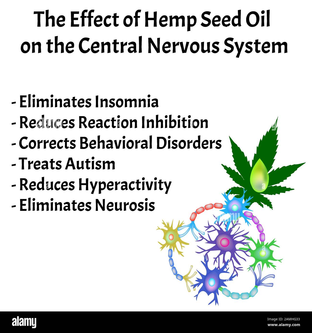 The Effect Of Hemp Seed Oil On The Central Nervous System Synapses Of Neurons Neural