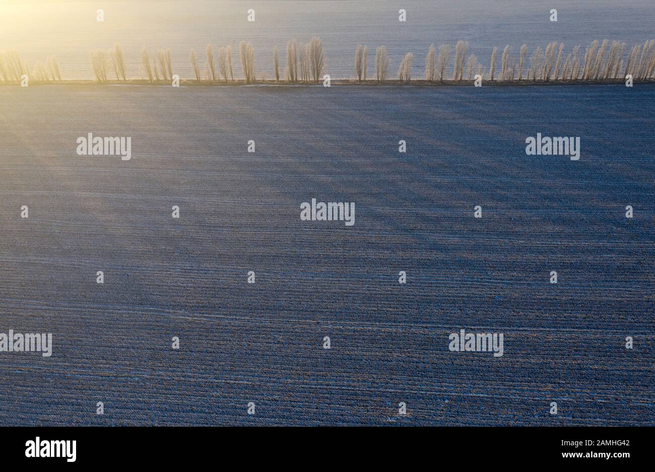 Winter landscape. Empty agricultural fields and trees covered with snow ...