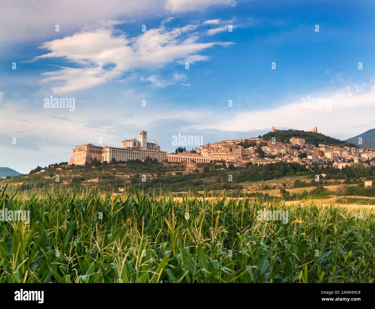 Assisi, Umbria, Italy with Basilica on the hill across an field of ...
