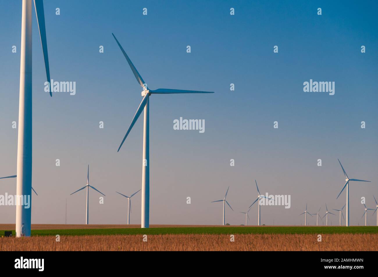 Large wind turbine farm against a blue sky at sunset, Dexter, Minnesota ...