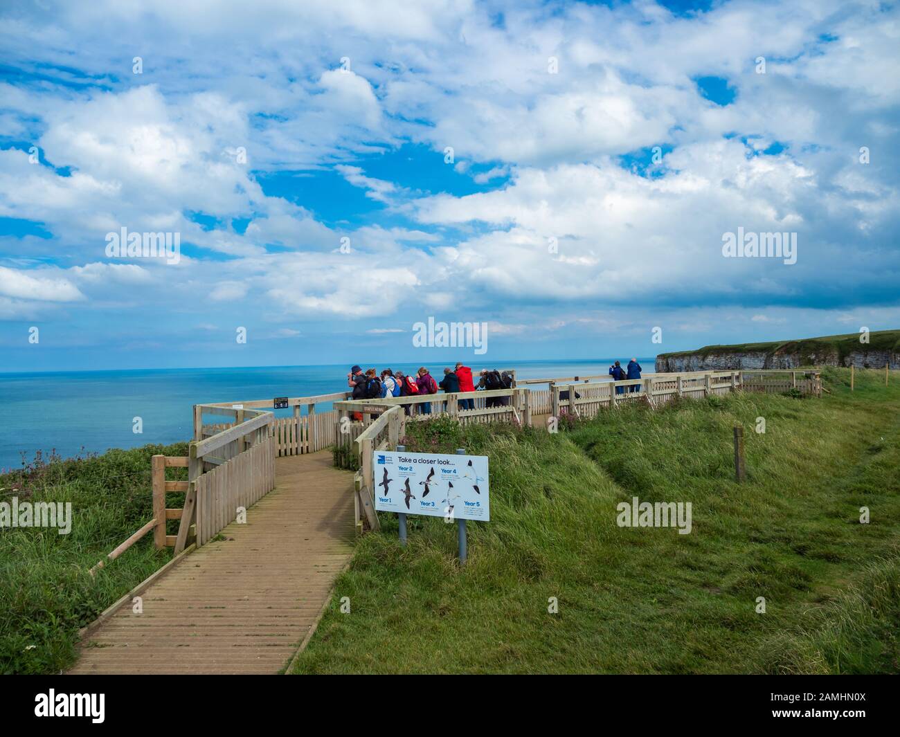 Rspb bempton cliffs hi-res stock photography and images - Alamy